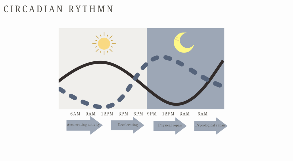 Chronic stress and poor sleep cycle: how to fix it - Selah